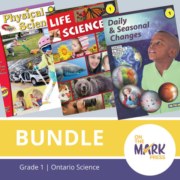 Bundles