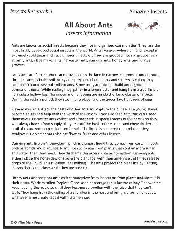 Amazing Insect: 6 Information Research Topics Grades 4-6 Google Slides