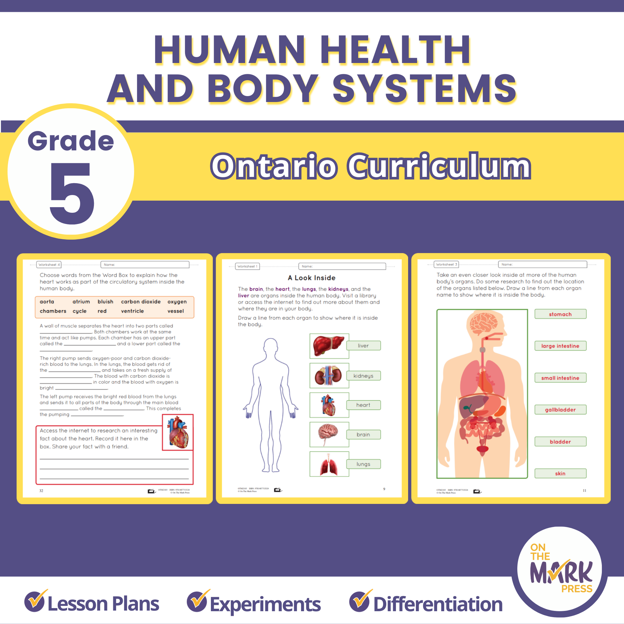 11 Human Body Systems Worksheet HUMAN BODY Systems File Folder And Cut