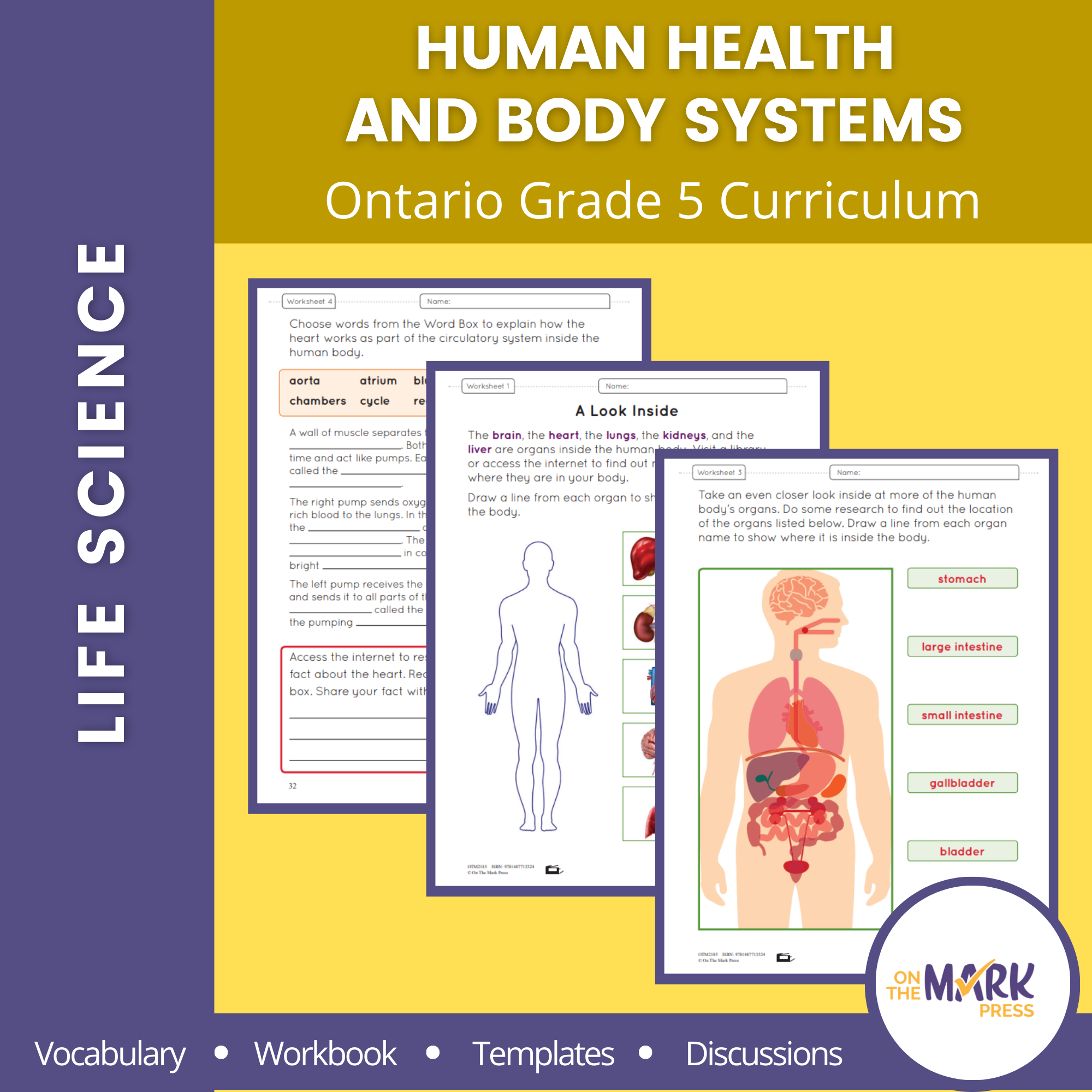 Human Organ Systems Grade 5 Grade 5 Science Human Organ Systems