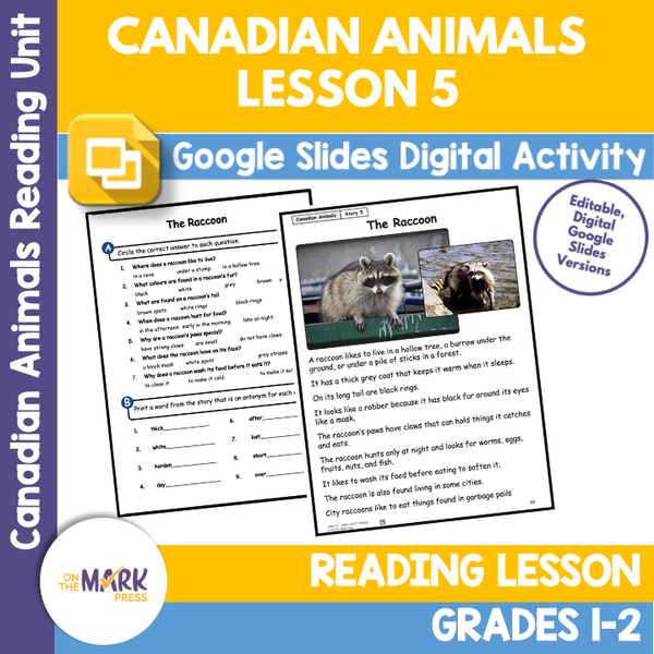 The Raccoon Reading Lesson Gr. 1-2 Google Slides & Printables Distance