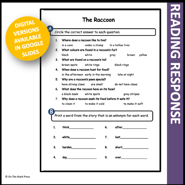 The Raccoon Reading Lesson Gr. 1-2 Google Slides & Printables Distance