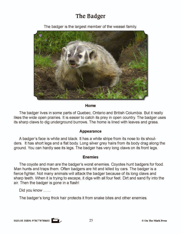 The Badger! Reading Lesson Grade 3