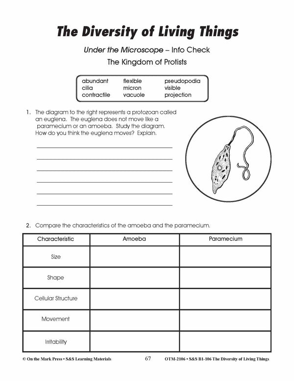 The Kingdom of Protists Lesson Plan Grades 4-6