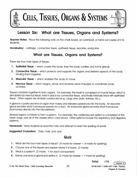 Types Of Tissues Found In The Body Worksheet