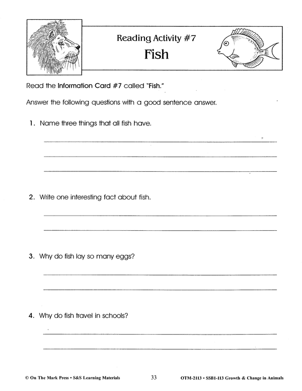 Fish Lesson Grades 2-3