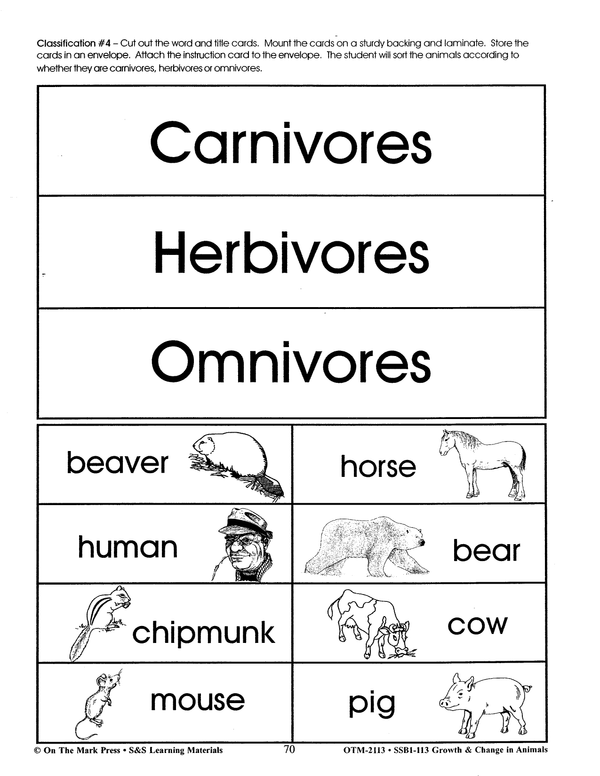 Herbivores Carnivores Omnivoresworm