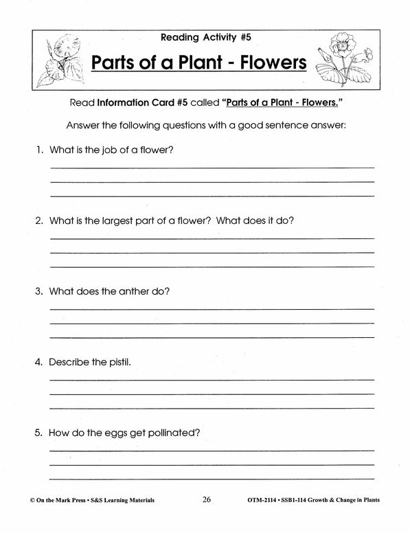 Parts of a Plant - Flowers Lesson Grades 2-3