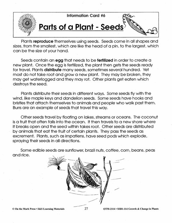Parts of a Plant - Seeds Lesson Grades 2-3