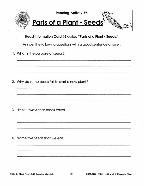 Parts of a Plant - Seeds Lesson Grades 2-3