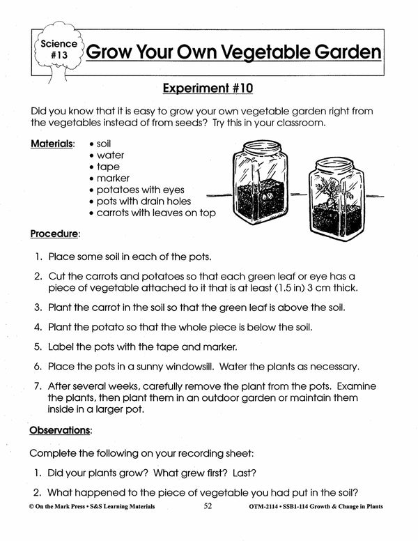 Grow Your Own Vegetable Garden Lesson Plan & Experiment Gr. 2-3
