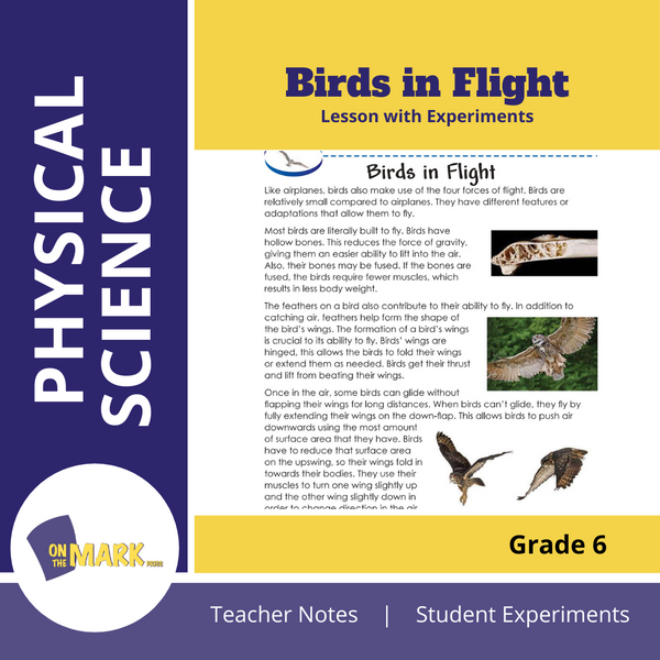 Birds in Flight Grade 6 Lesson with Experiments