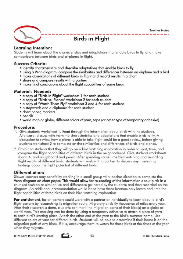 Birds in Flight Grade 6 Lesson with Experiments