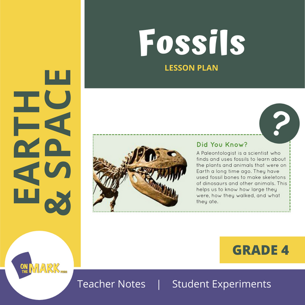Fossils Grade 4 Lesson Plan