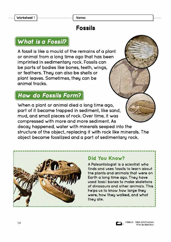 Fossils Grade 4 Lesson Plan
