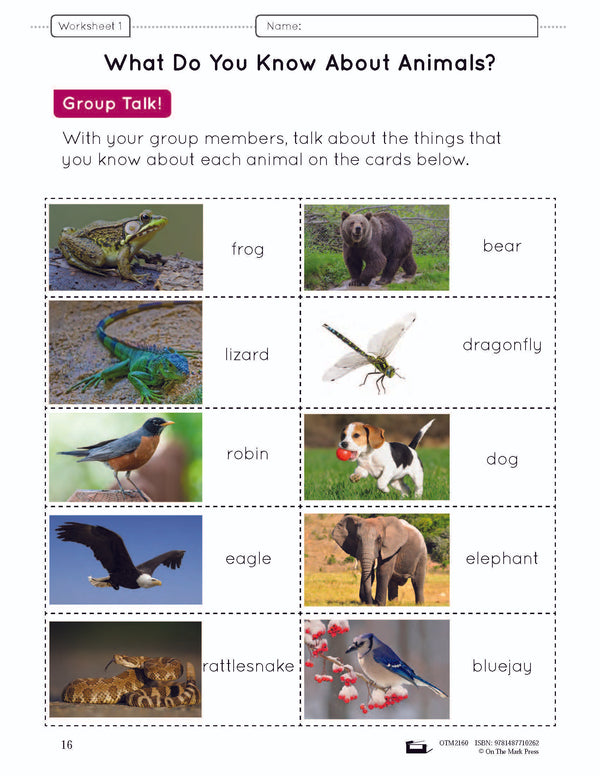 In the Animal Kingdom Grade 1 Lesson and Worksheets