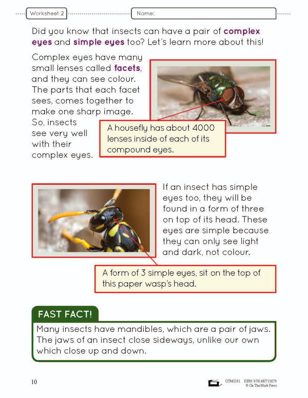 Invertebrates e-Lesson Plan Grade 2