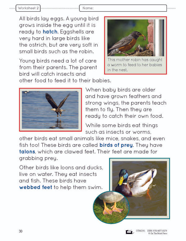 Birds Lesson and Worksheets Gr 2 - Physical Characteristics; Flight; B