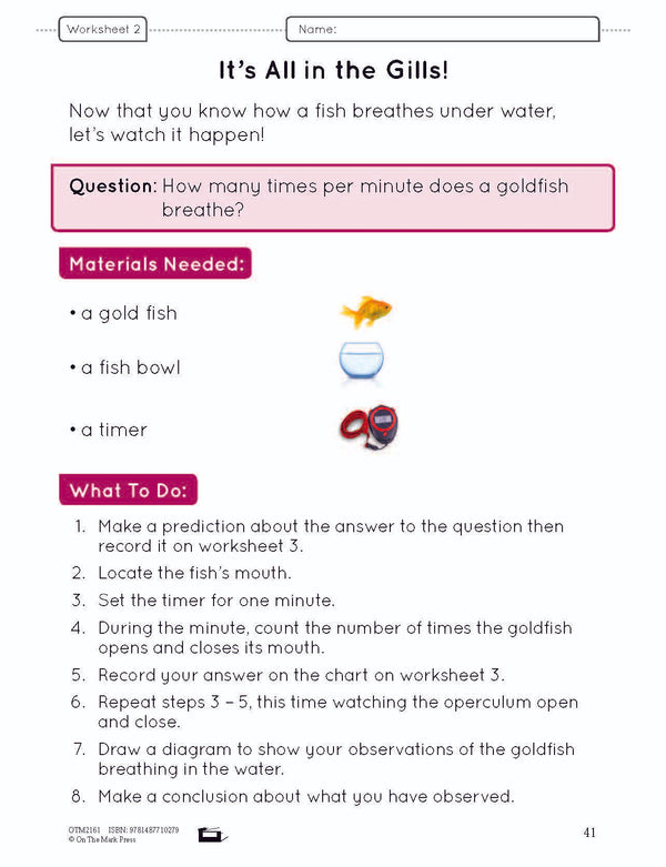 Fish Lesson and Activities Grade 2