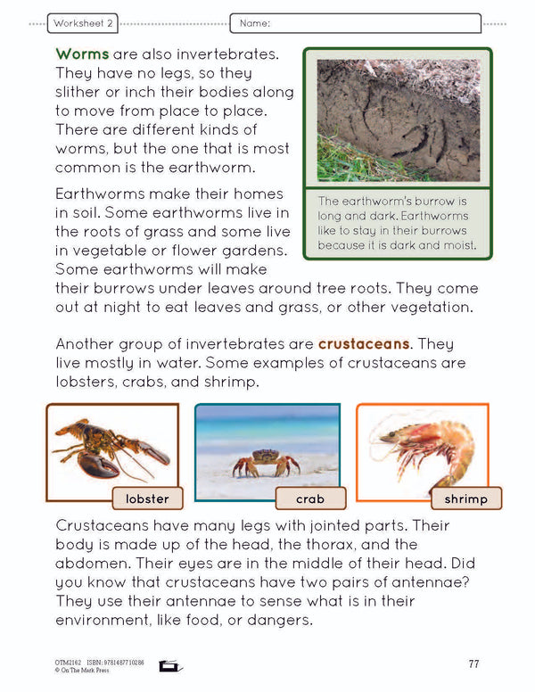 Invertebrates Lesson Plan Grade 3