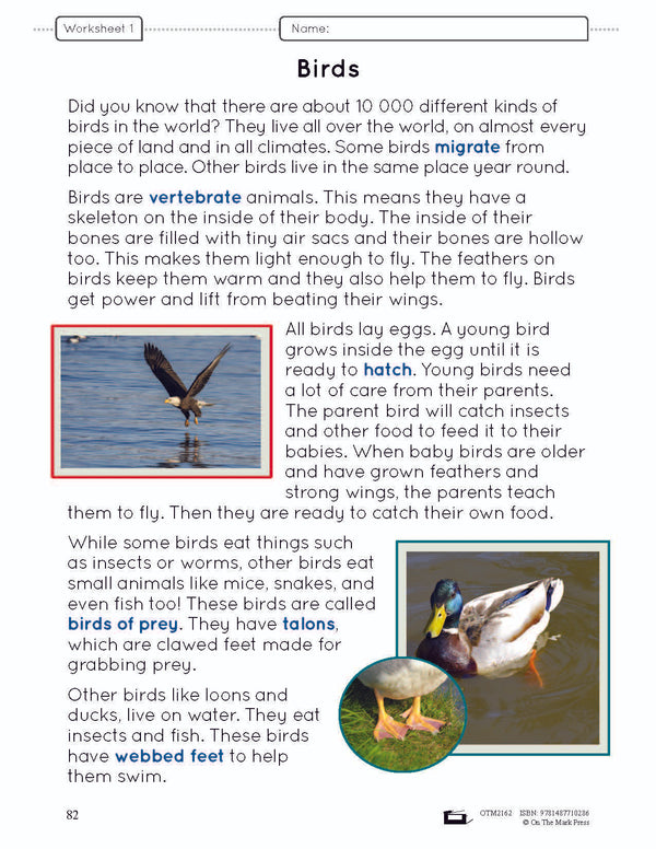 Birds Lesson Plan and Activities Grade 3