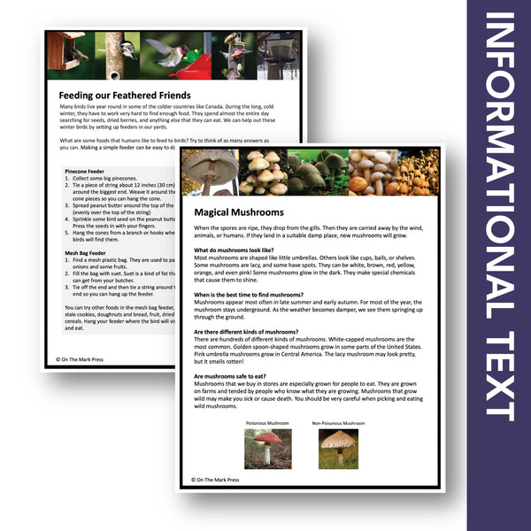 Just the Facts: Non-Fiction Reading Grade 4 Digital Google Slides Acti