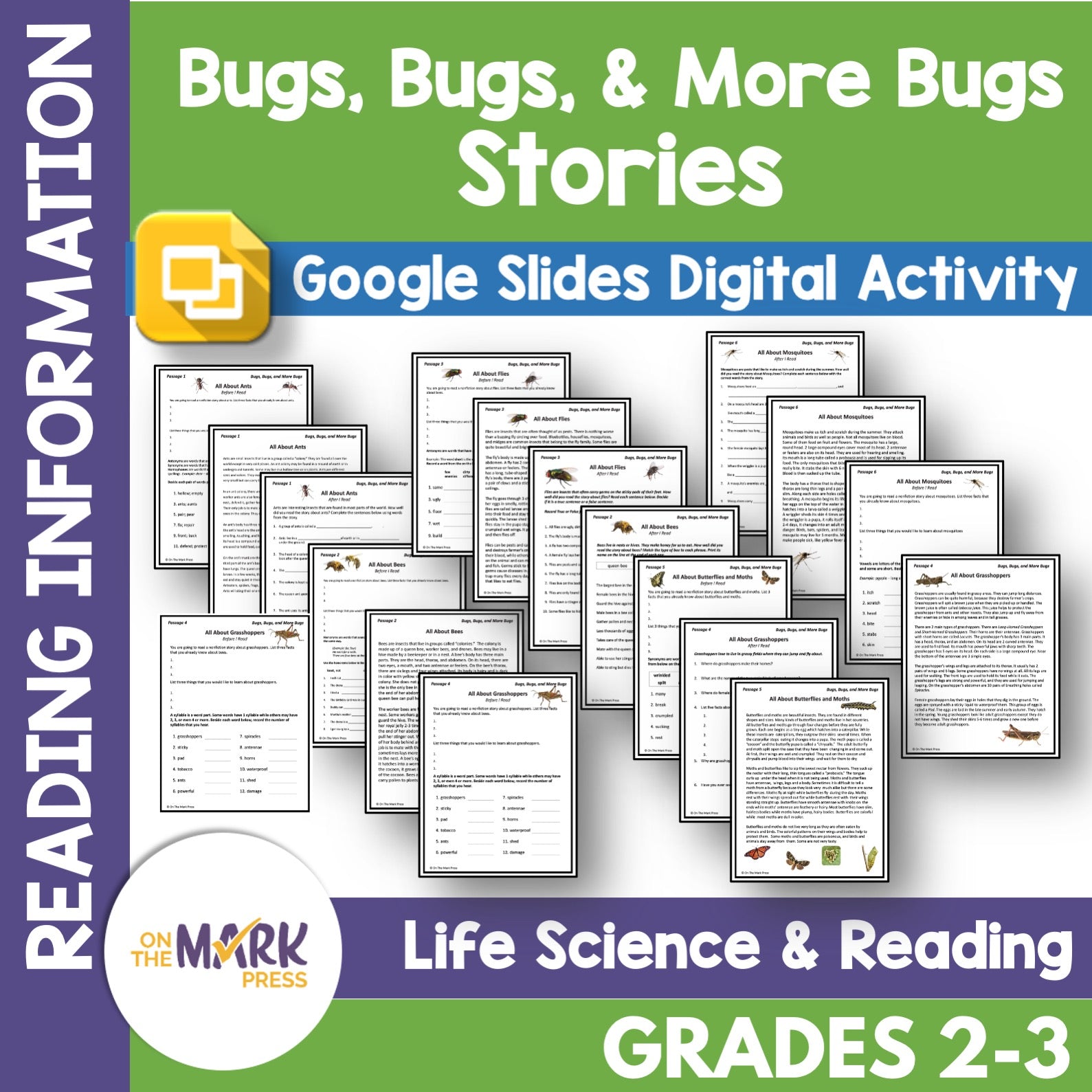 Bugs, Bugs & More Bugs Reading Information Stories Grades 2-3 Google S