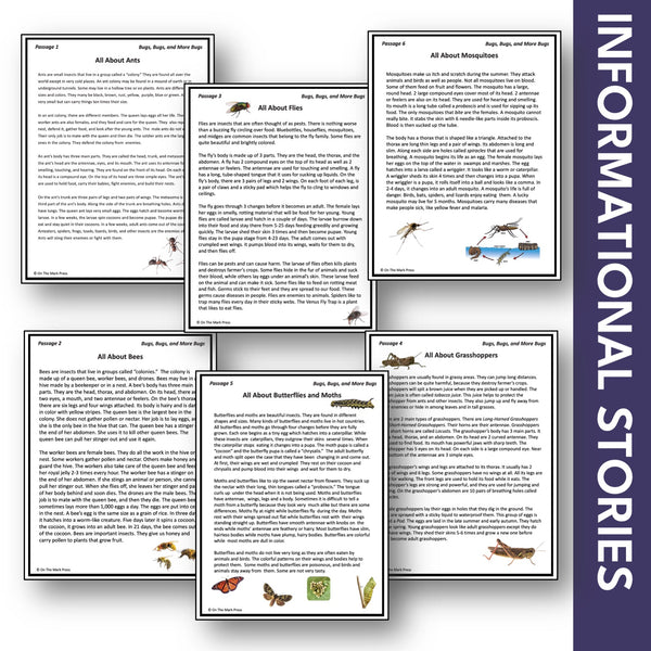 Bugs, Bugs & More Bugs Reading Information Stories Grades 2-3 Google S