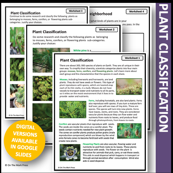 The Plant Kingdom Lessons, Grade 6 Google Slides & Printables Distance