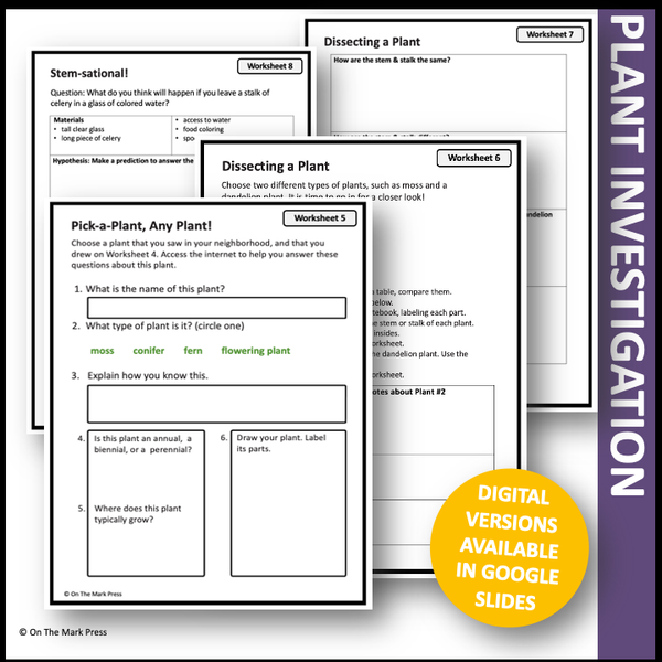 The Plant Kingdom Lessons, Grade 6 Google Slides & Printables Distance