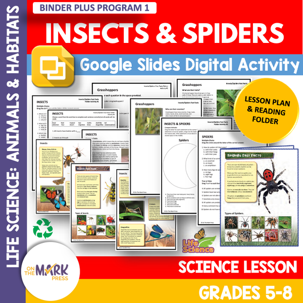 Insects & Spiders Activities & Colour Reading Folder Gr 3-4+ Google Sl