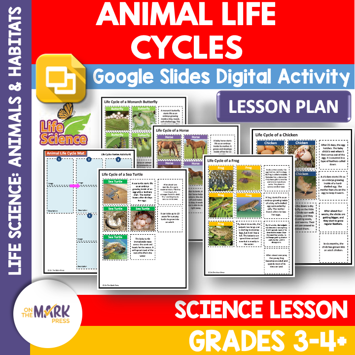 Animal Life Cycle Photo Cards & Templates, Grade 3-4+ Google Slides On