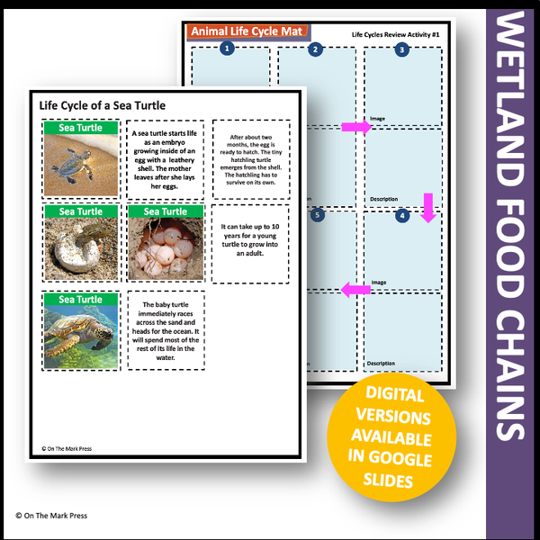 Animal Life Cycle Photo Cards & Templates, Grade 3-4+ Google Slides On