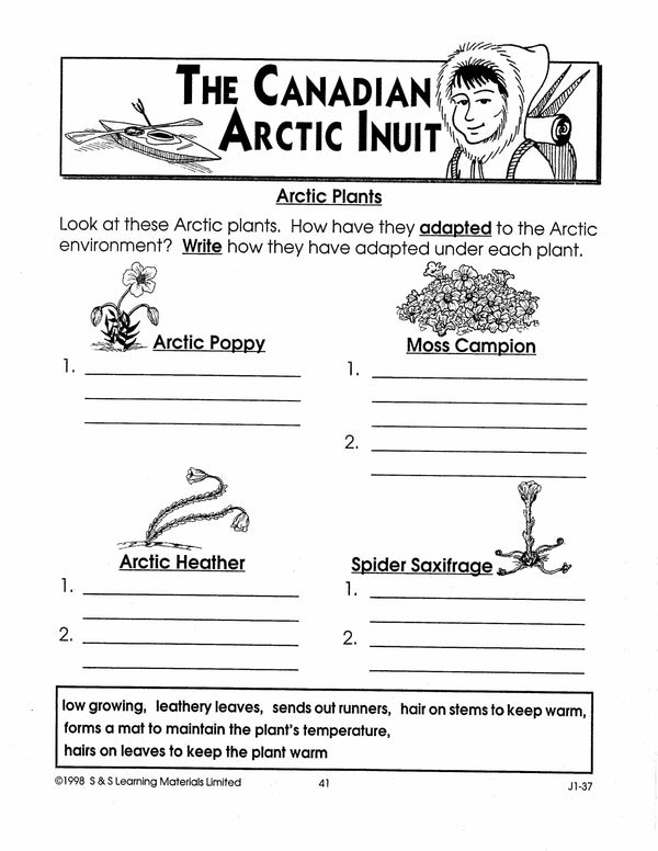 The Canadian Arctic Inuit Grades 2-3