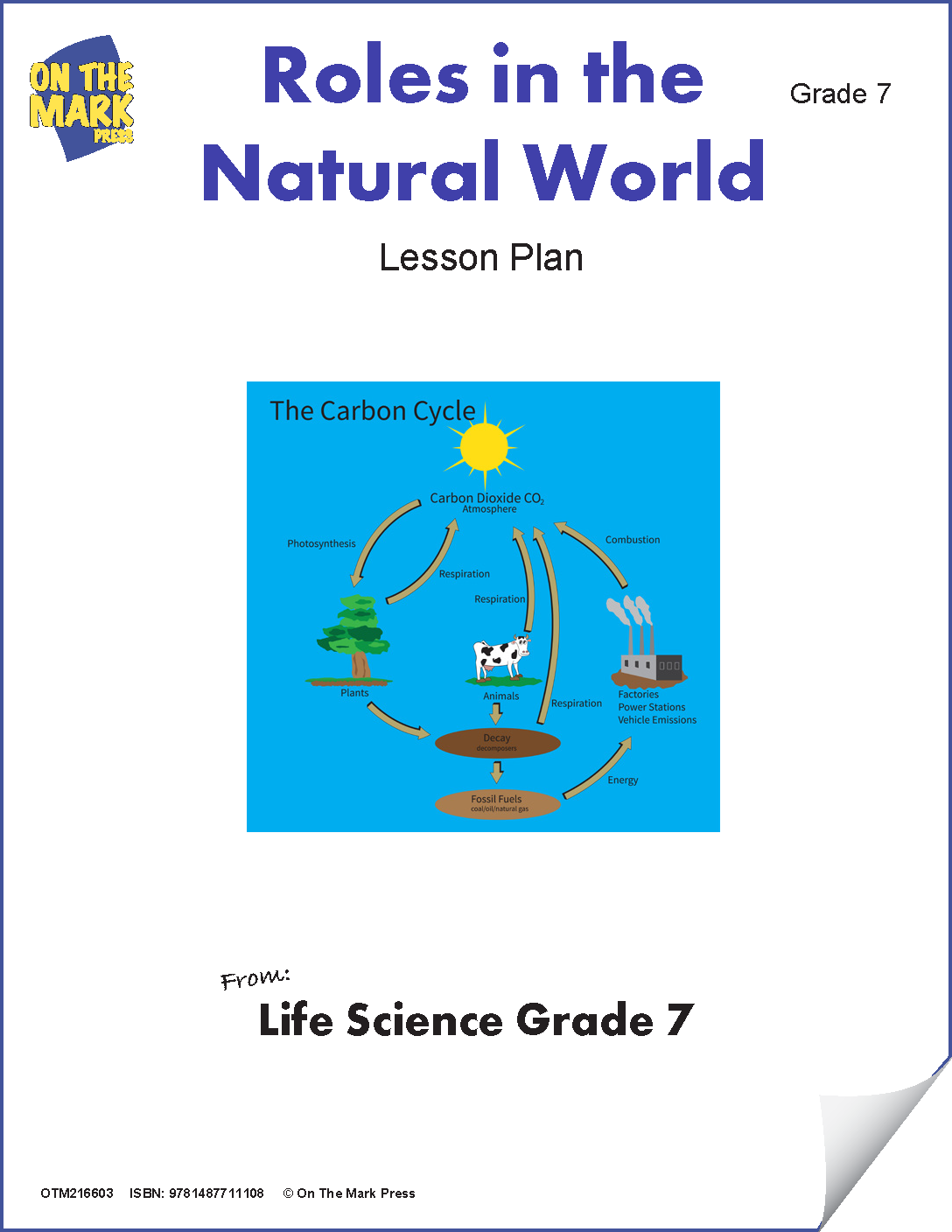 Carbon Cycle Lesson Plan Middle School