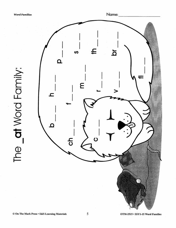 Word Families Practice Grades 1-3: Build Their Skills Workbook