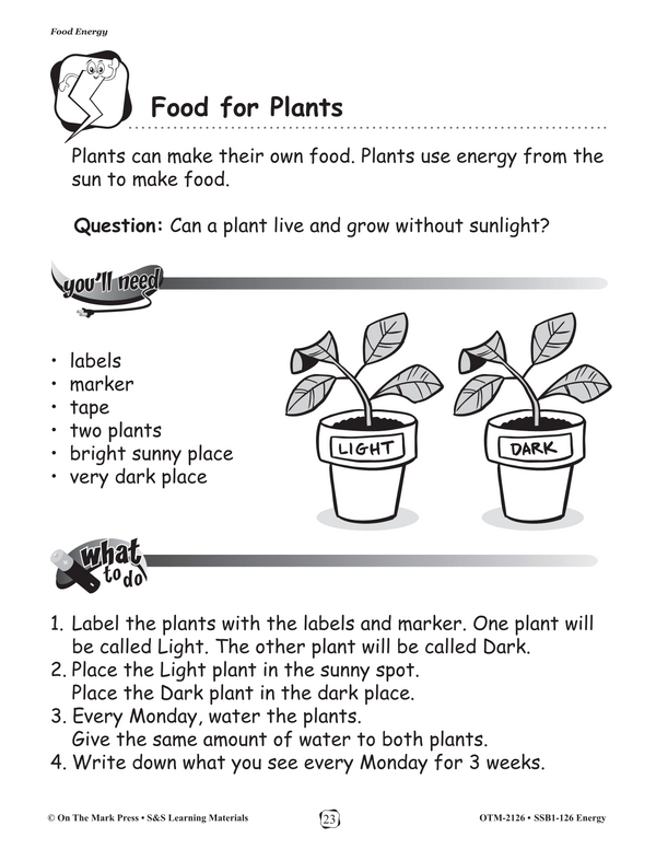 Food Energy Gr. 1-3 Lesson